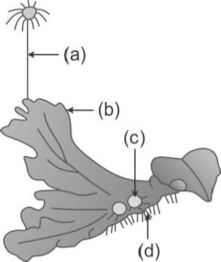Examine the figure given below and select the right option giving all ...