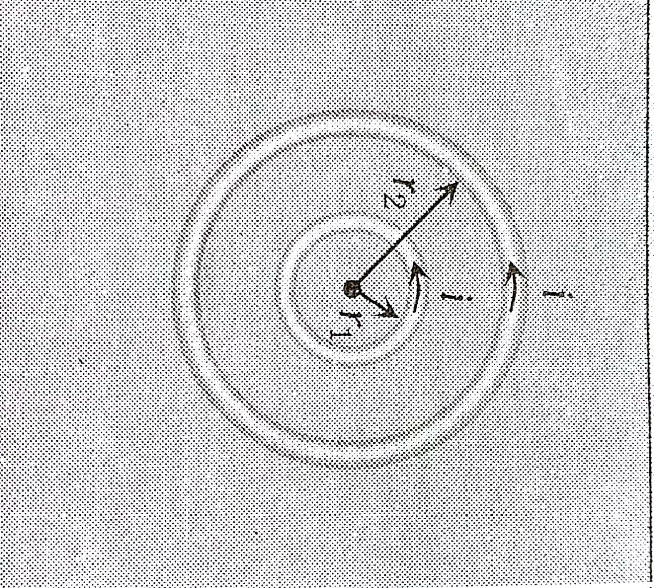 Two circular concentric loop of different radii a