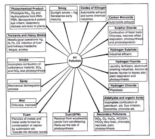 Man made Sources of Air Pollution MCQ - Practice Questions & Answers