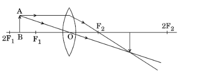 Study the following ray diagram and list two mistakes committed by the ...