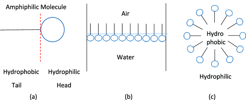 Identify the correct molecular picture showing what happens at the ...