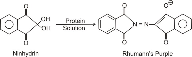 The correct structure of Rhumann's Purple, the compound formed in the ...