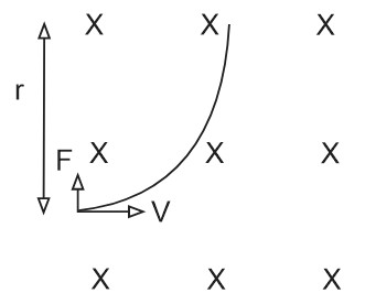 A deuteron and an alpha particle having equal kinetic energy enter ...