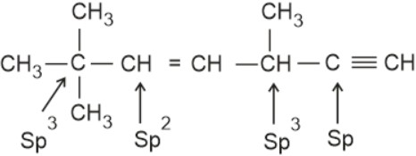 The state of hybridization of C2, C3, C5 and C6 of the hydrocarbon,